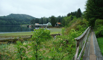 Winter Harbour Accommodation. North Vancouver Island Cottages